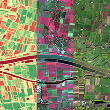 Satellite View of Alberta on EOSDA LandViewer
