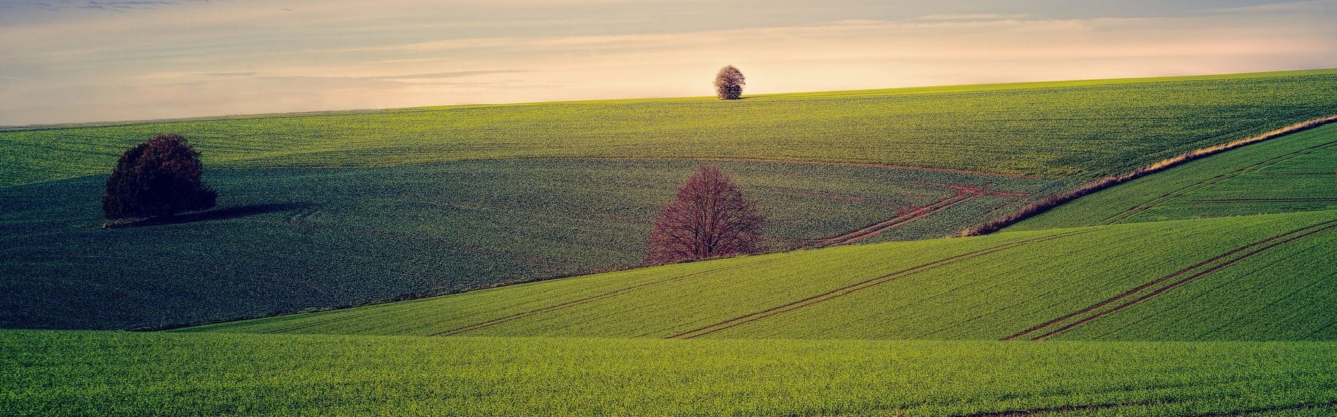 Farm Management 7 Ways How EOSDA LandViewer Can Help In Agriculture Farm Management 7 Ways How EOSDA LandViewer Can Help In Agriculture
