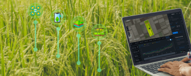 Artículos Etiquetados Con Crop Monitoring | EOS Blog