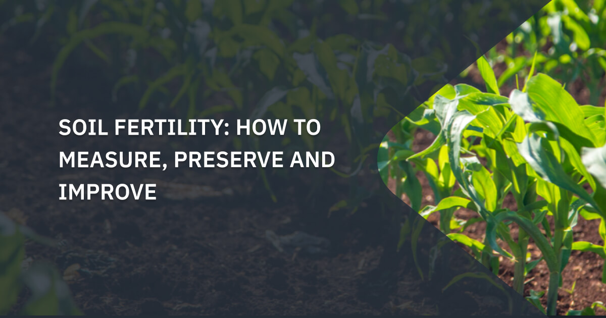 Soil Fertility: Influencing Factors Аnd Improvement Strategies