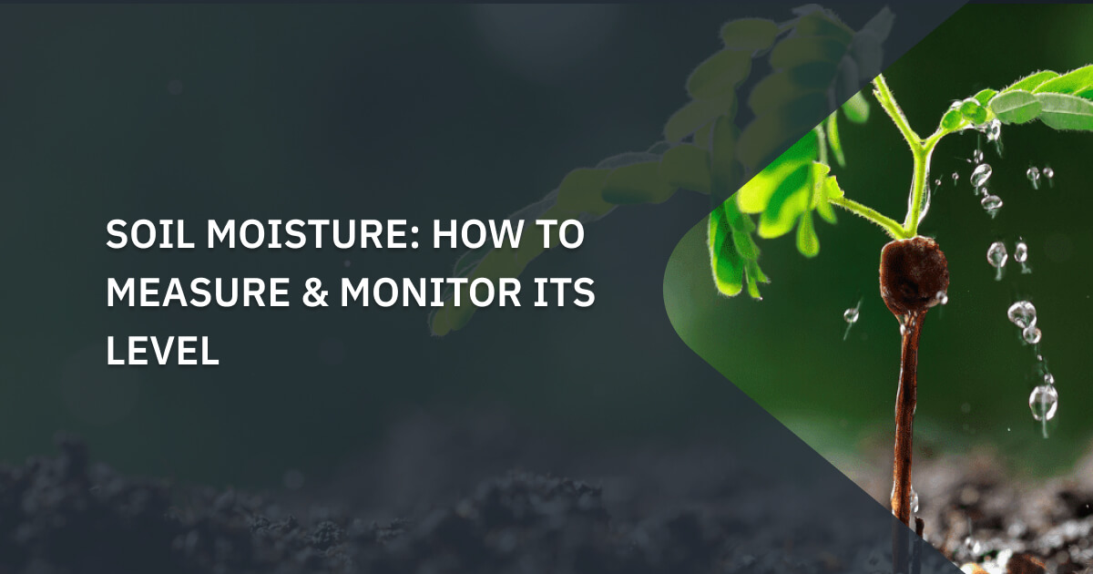 Soil Moisture: Methods Of Measuring & Tools For Monitoring