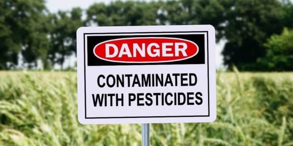 Integrated Pest Management: Soft But Effective Crop Protection