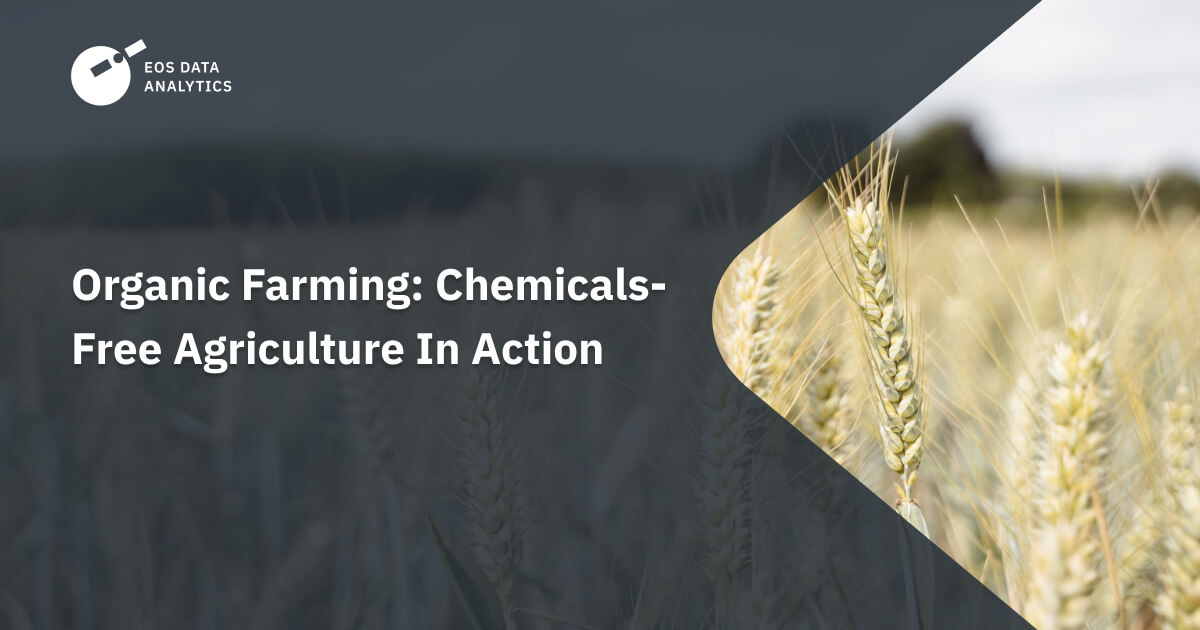 Organic Farming: Practices And Methods Of A Modern Concept