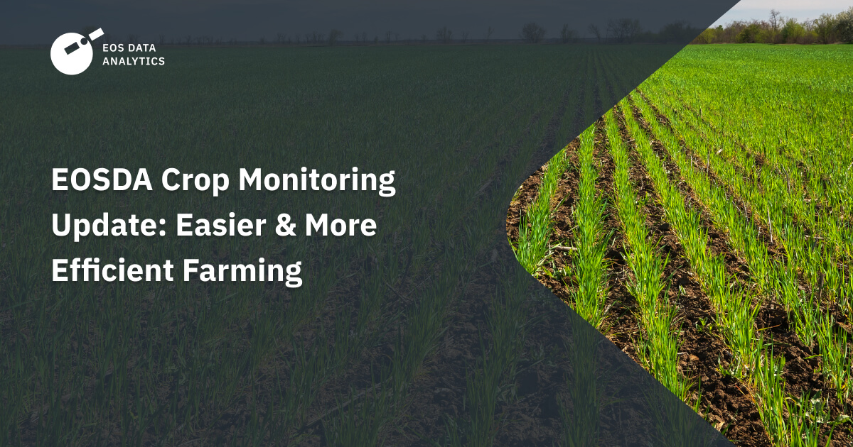 New Update From EOSDA Crop Monitoring: Easier & More Efficient Farming
