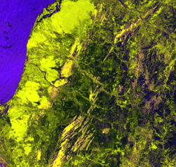 Sentinel 1: Satellite Imagery, Overview, And Characteristics