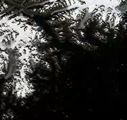 Sentinel-2: Satellite Imagery, Overview, And Characteristics