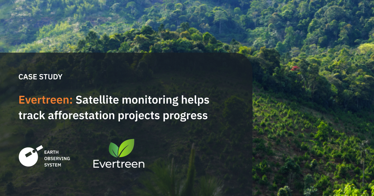 Satellite Monitoring Helps Track Afforestation Projects Progress