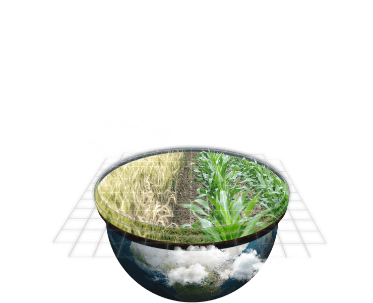 Crop Yield Estimation Using Remote Sensing - Precision Forecasts Crop Yield Estimation Using Remote Sensing - Precision Forecasts