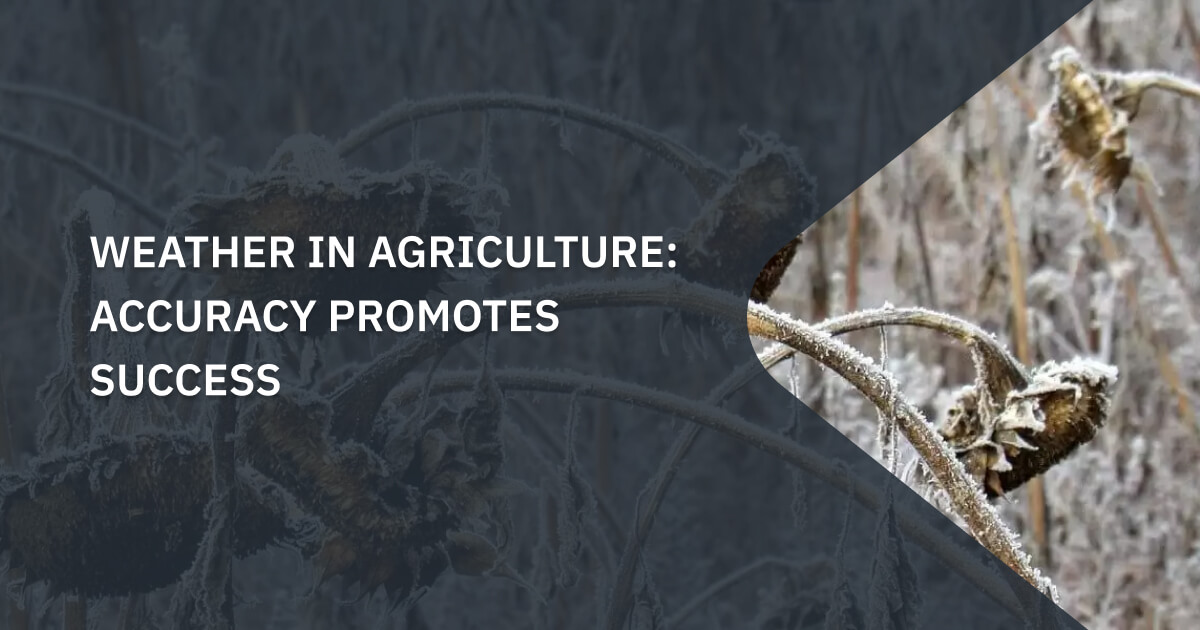 Agriculture Weather: Precise Data For Profitable Farming