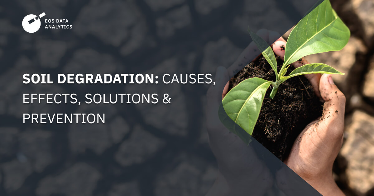 What Is Soil Erosion Grade 3 Pdf Free Free Infoupdate