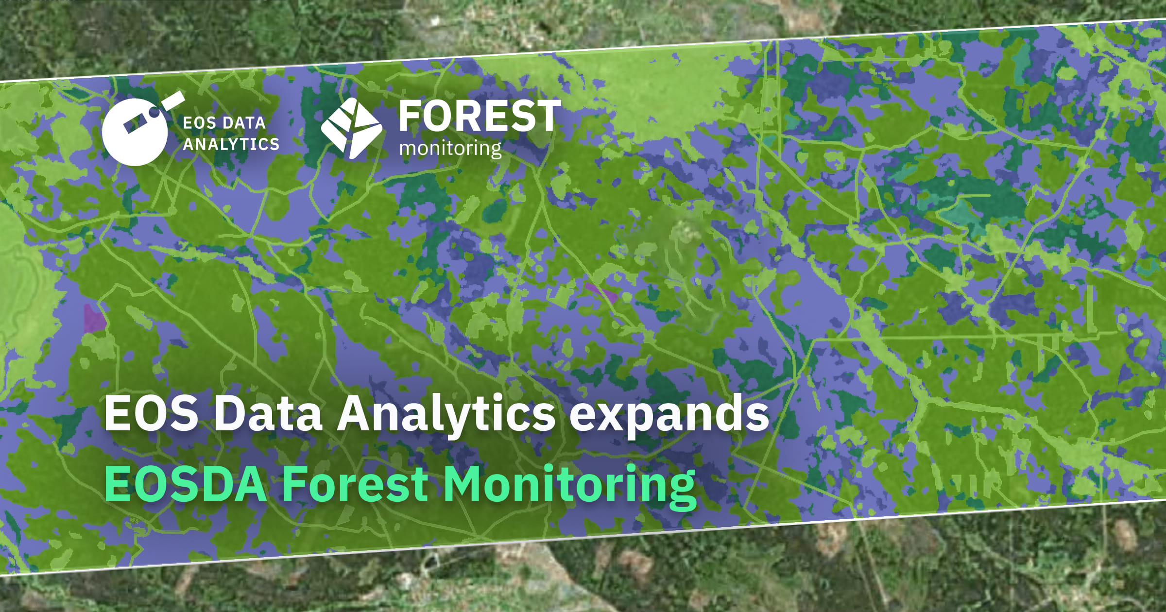 EOSDA Forest Monitoring: Now Customizable, With New Features