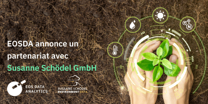 Rim Elijah, Vice-président des ventes dans EOSDA