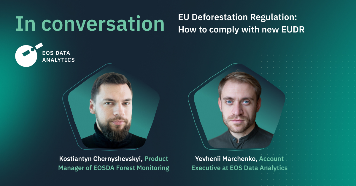 EU Deforestation Regulation: How To Comply With New EUDR