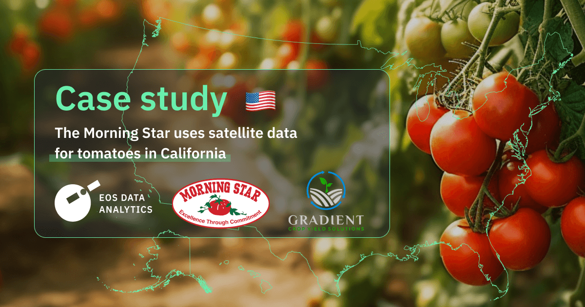 The Morning Star Uses Satellite Data For Tomatoes In California
