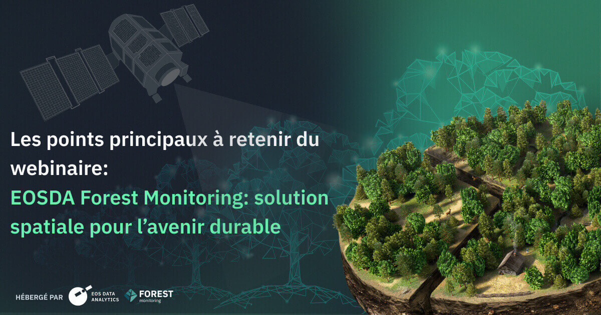 EOSDA Forest Monitoring: Points principaux à retenir