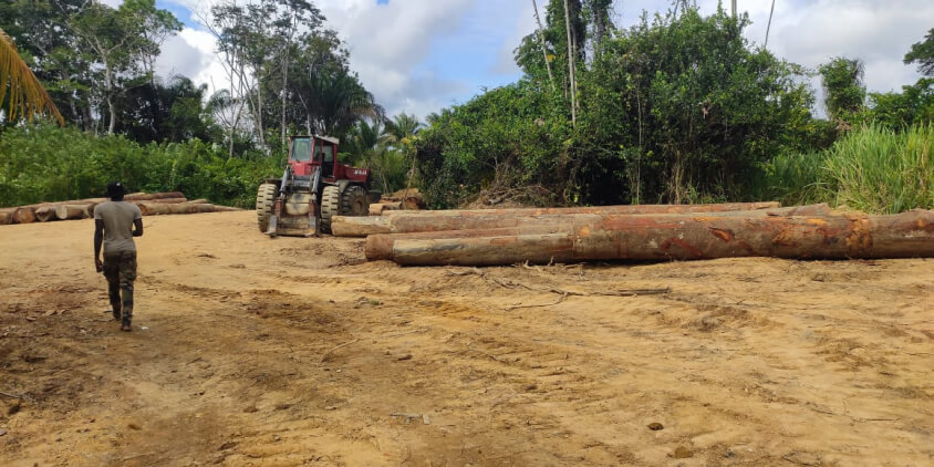 How Saamaka Defend Their Forests From Rampant Deforestation