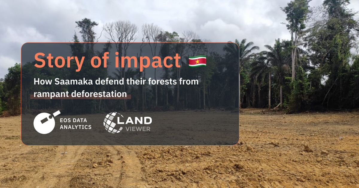 How Saamaka Defend Their Forests From Rampant Deforestation