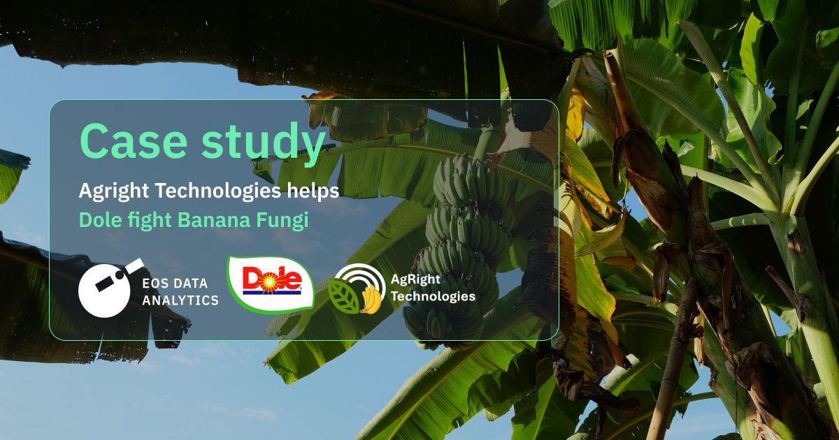Agright Technologies Helps Dole Fight Banana Fungi