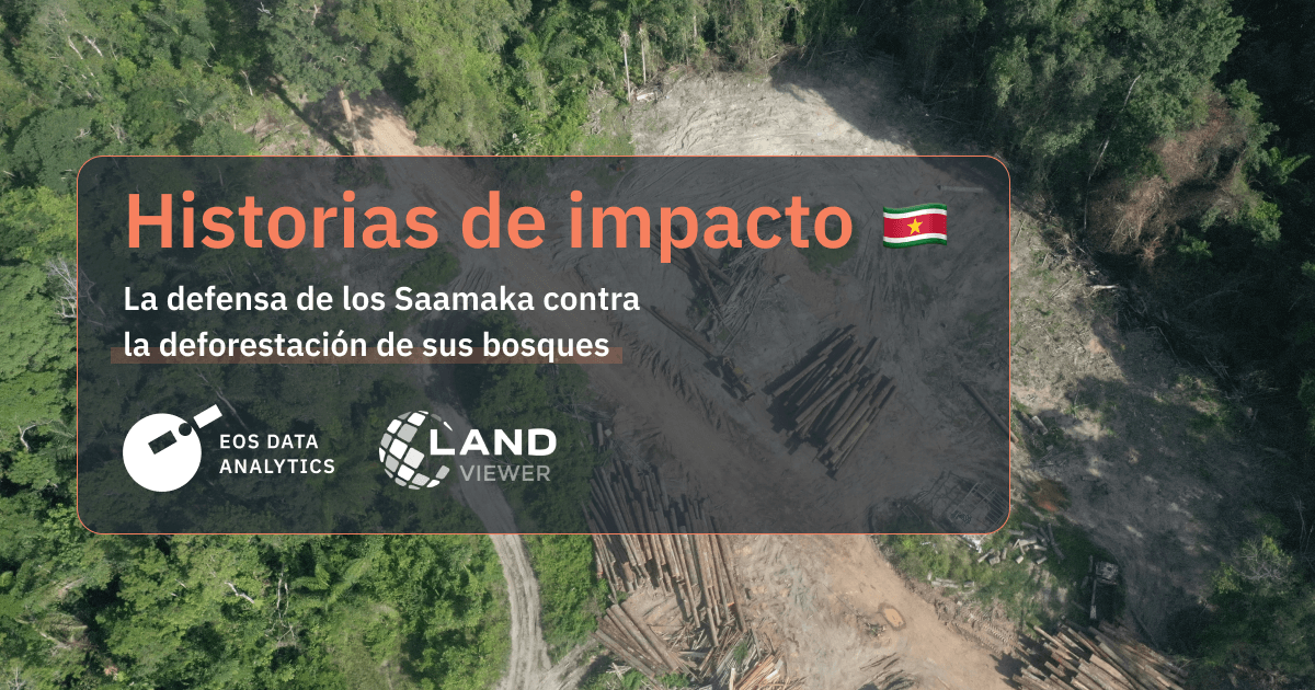 La Defensa De Los Saamaka Contra La Deforestación De Sus Bosques