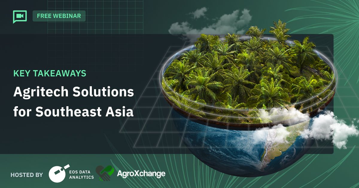 Agritech Solutions For Oil Palms In Southeast Asia