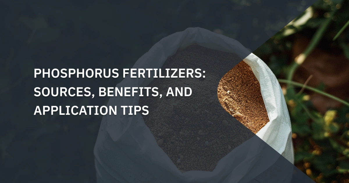 Important Things To Know About Phosphates In Fertilizer