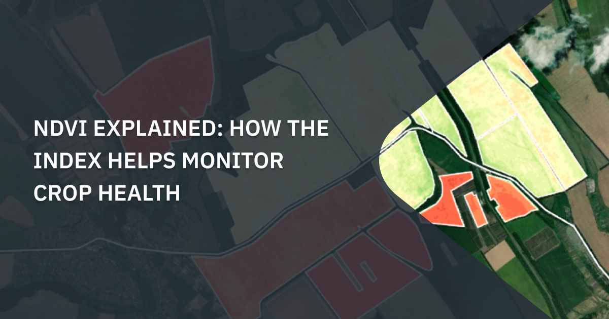 What Is Normalized Difference Vegetation Index (NDVI)?